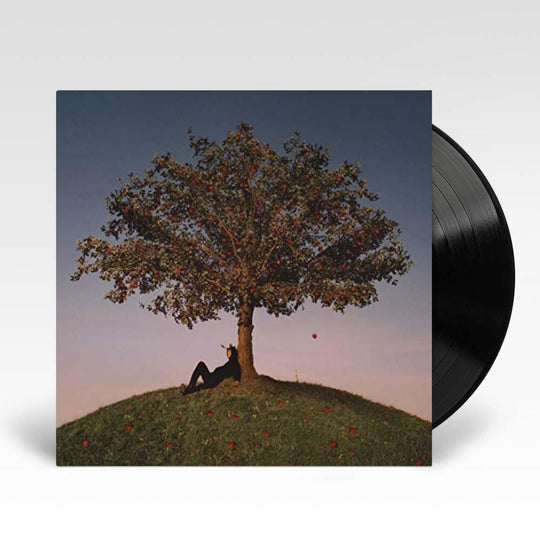 Slowthai 'Tyron' VINYL – Landspeed Records Canberra